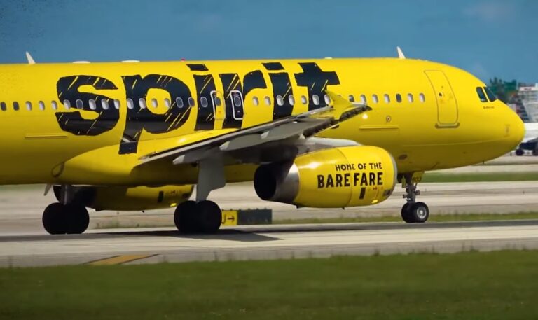 How to Avoid Baggage Fees With Spirit Airline? - Pro Tips You Must Know