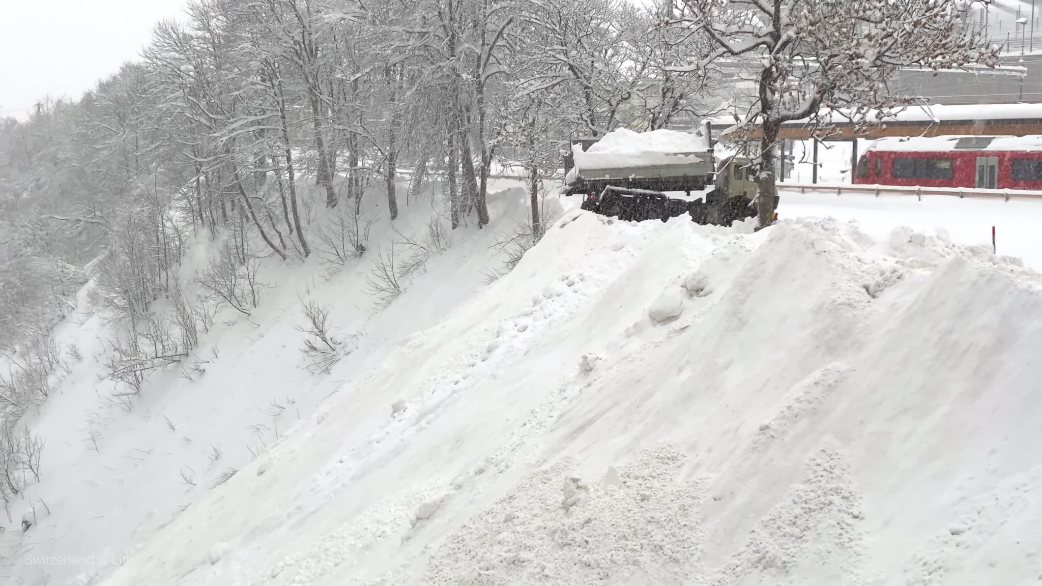 Guide to 'In Transit' Shipping Status: Navigating Your Package's ...